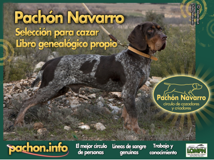 La zona canina del certamen, contara con una superficie destinada en ...