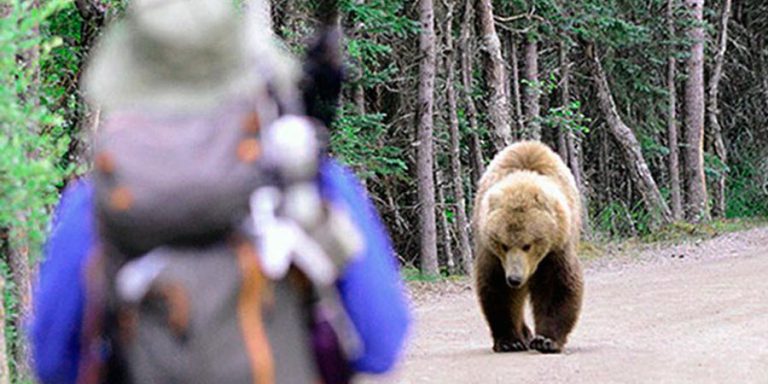 El estudio cuantifica 664 ataques entre 2000 y 2015, siendo los más ...