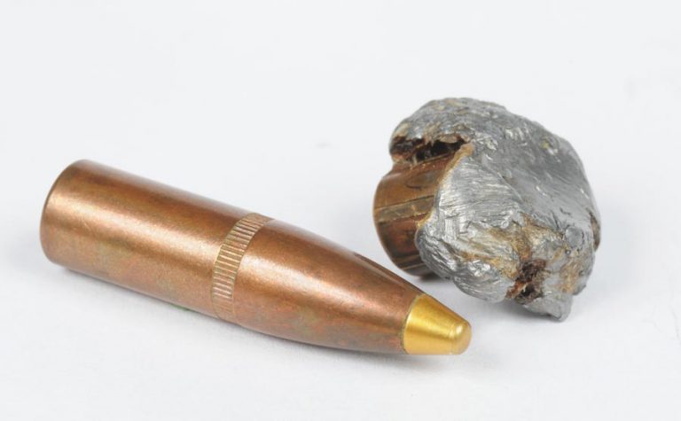 En animales grandes, la punta tiene que deformarse sin perder masa y la ...