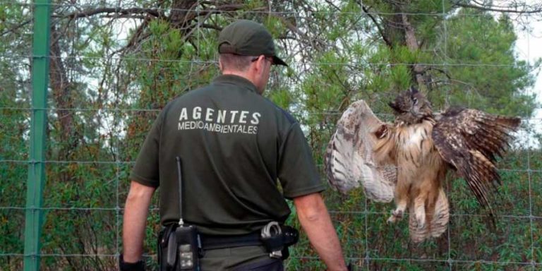 Es de vital importancia no tocar al animal si este no se encuentra en ...