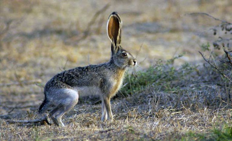 El informe ha sido realizado con el apoyo de la Junta de Comunidades de ...