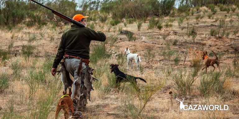 La prevención es esencial