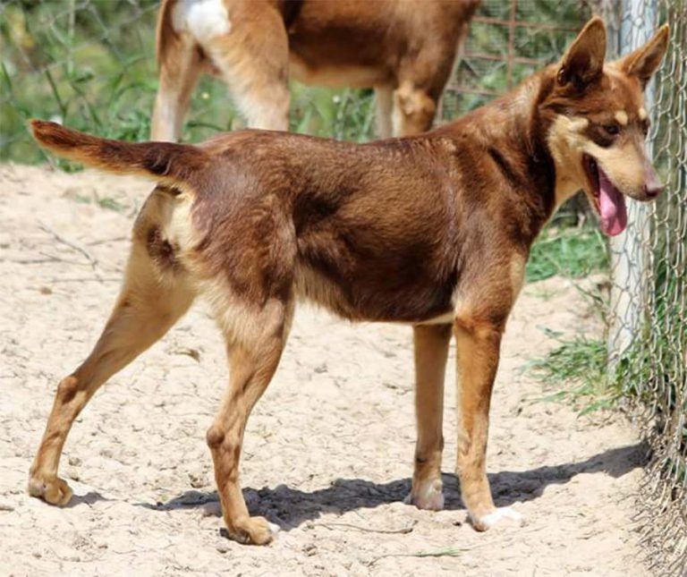 Todos estos factores usados de forma objetiva pueden ayudarnos mucho a ...
